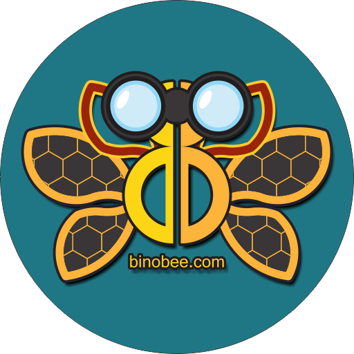 BinoBee@YouTube - Bino Bee